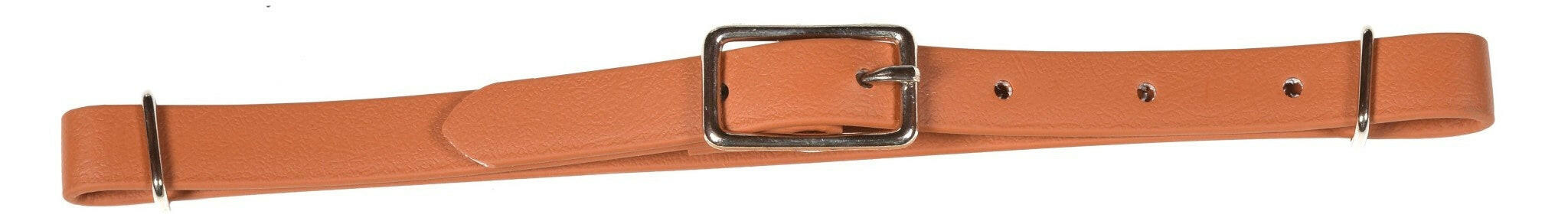 Berlin Straight Beta Curb Strap | Corral Western Wear