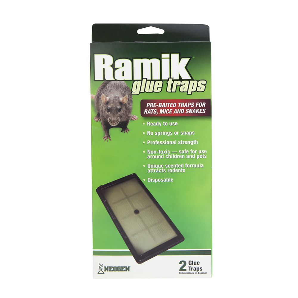 Ramik Rat, Mouse and Snake Glue Trap 14250-1 | Corral Western Wear
