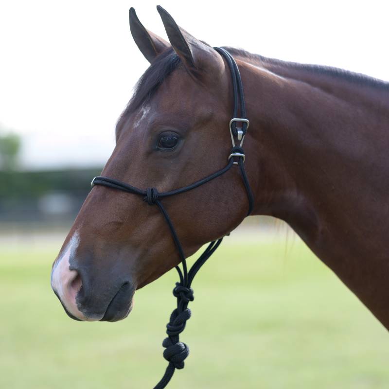 Professional's Choice Easy on Rope Halter with Lead HRE | Corral ...