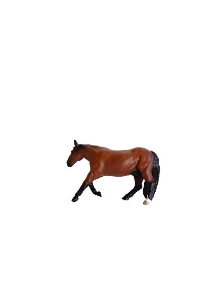 Little Buster Barrel Horse Bay Gelding 20086 4 | Corral Western Wear