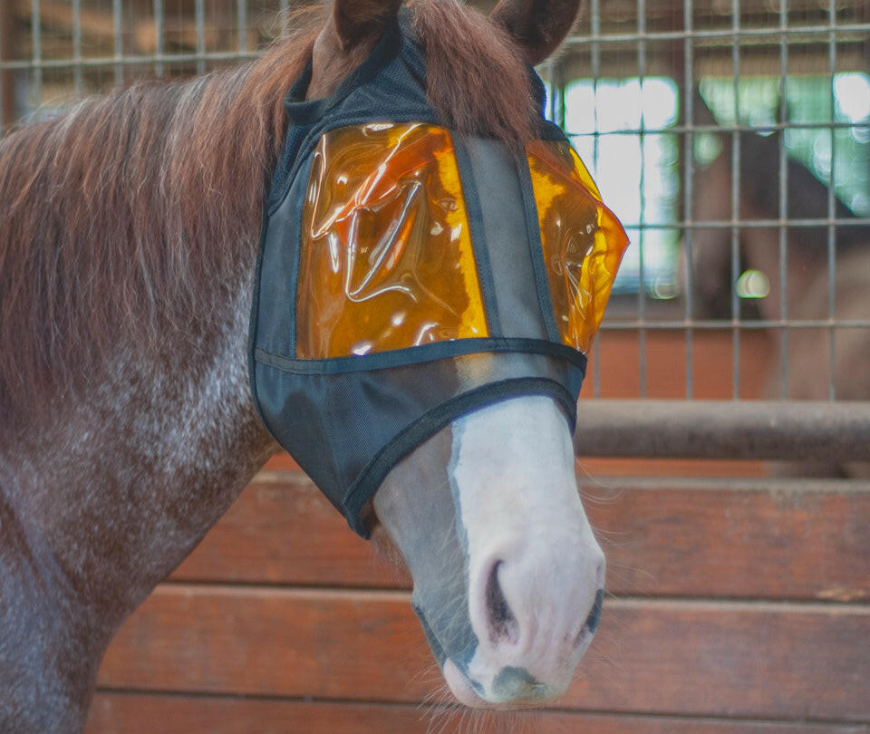 Restoration Equine Mask | Corral Western Wear