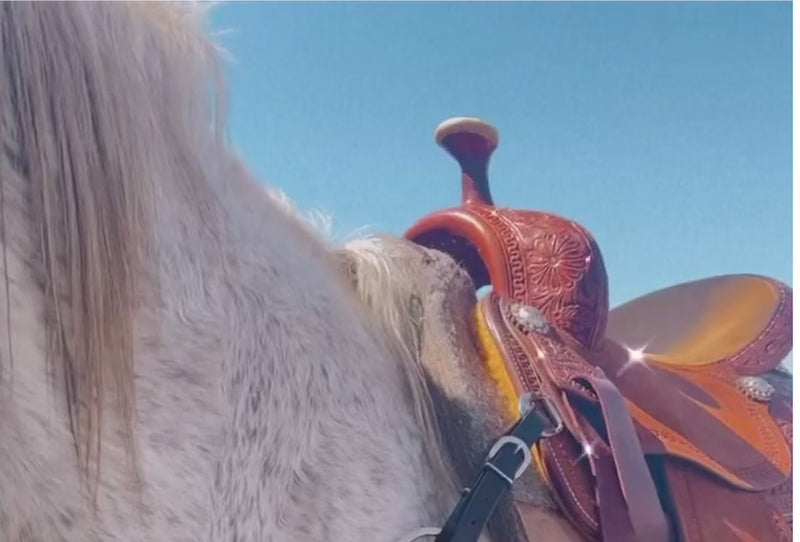 Corral Western Wear | Corral Western Wear